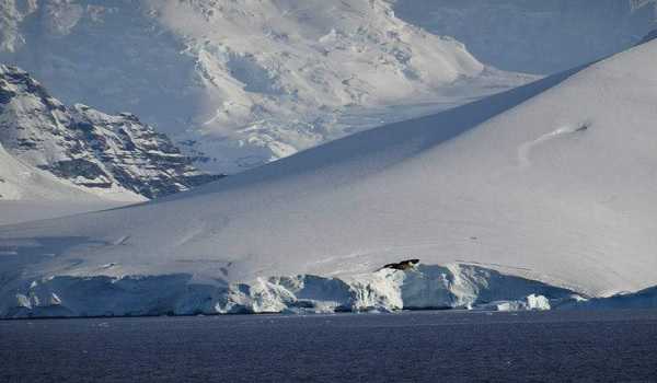 Climate change slowing Antarctic deep sea current, reducing oxy levels ...