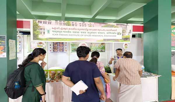 Millet-fish fusion dishes attract food lovers at Millet-Fish fest - Goa ...